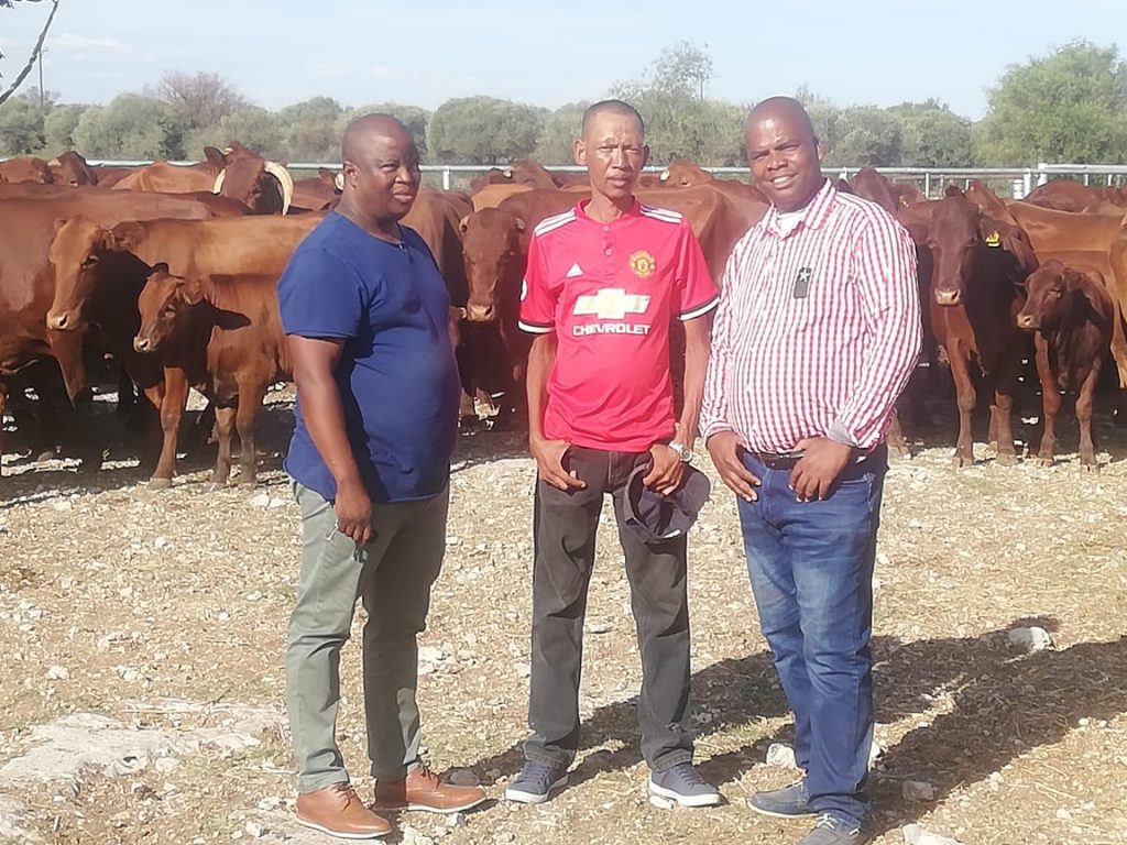 RESTITUTED KOOPMANSFONTEIN COMMUNITY ON AN ECONOMIC EMPOWERMENT QUEST ...
