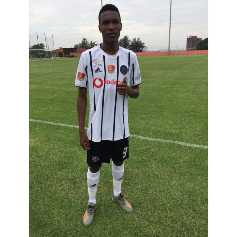 THE INCREDIBLE STORY OF THE HUNGRY LION TSHEPO KAKORA - NCNN.live